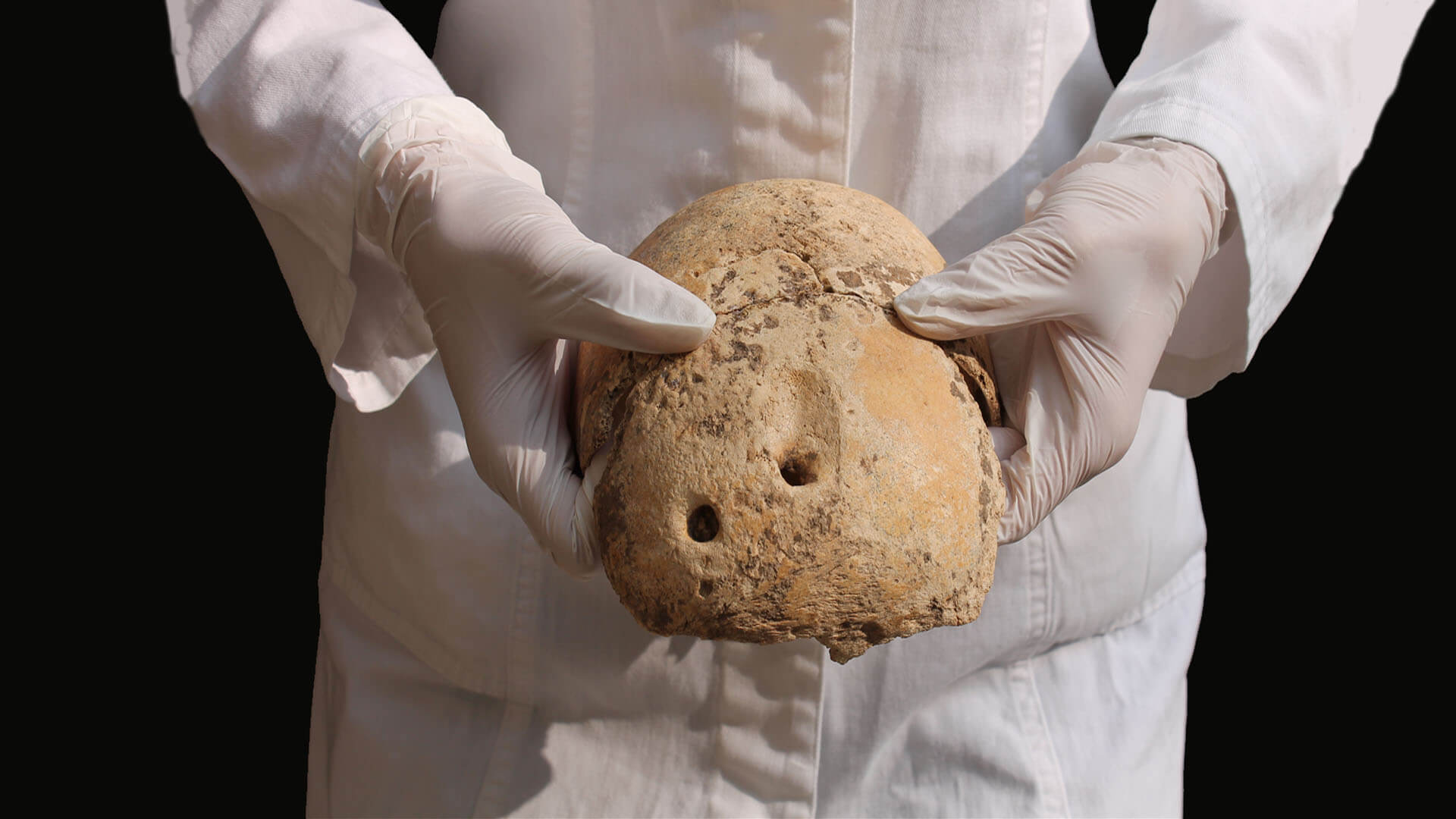 Bioanthropological facilities - Center of Bone biology