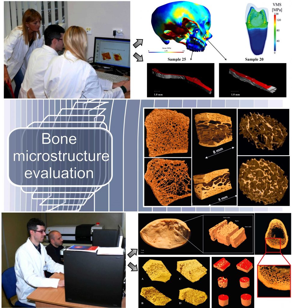 Bone biology facitilites – Center of Bone biology