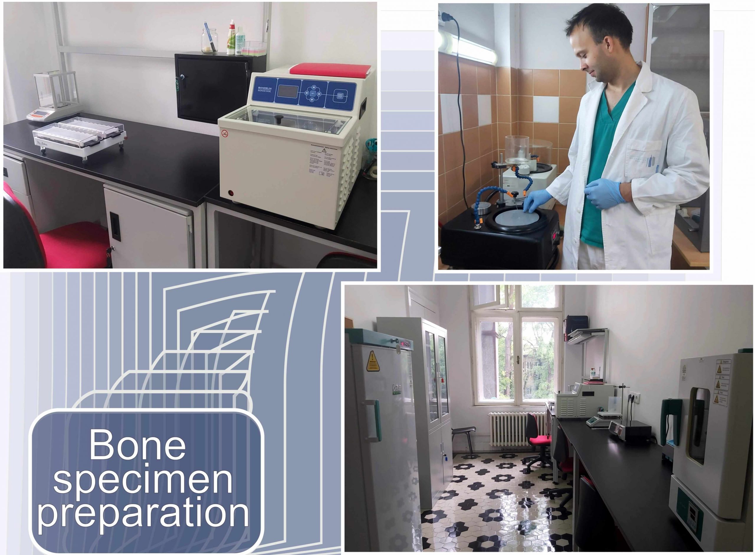 Bone biology facitilites – Center of Bone biology