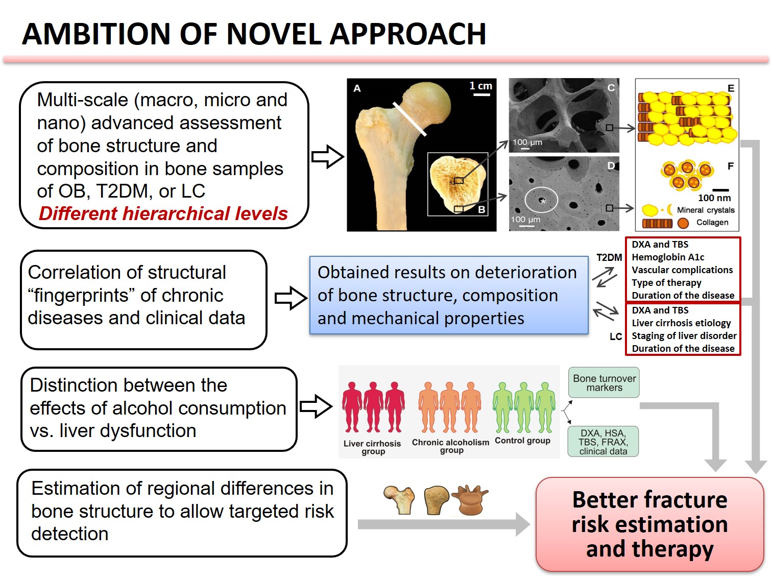 Project Ambition - Center of Bone biology